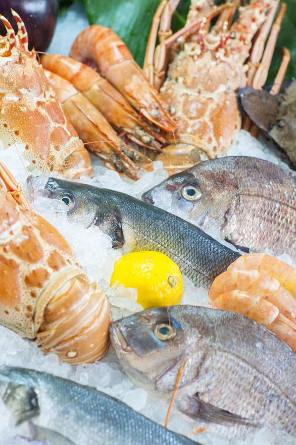 Seafood stock image. Image of variety, fish, shrimp, gourmet - 34782685