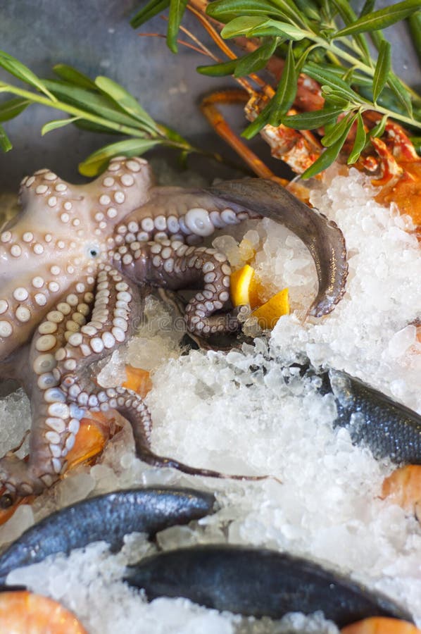 Fresh seafood stock photo. Image of meal, diet, ocean - 26540888