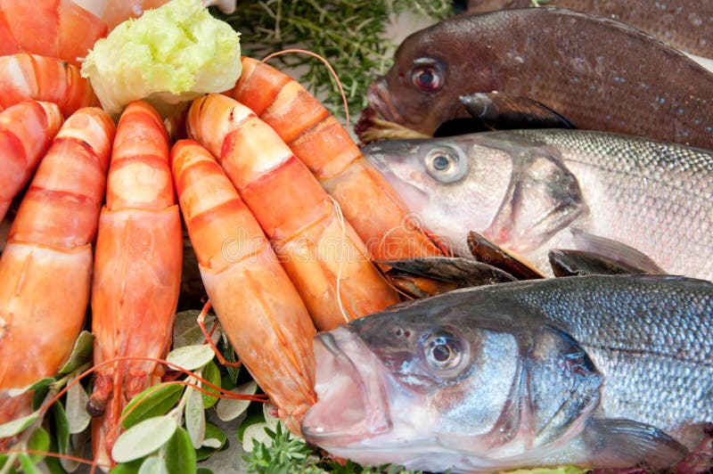 Seafood stock image. Image of variety, fish, shrimp, gourmet - 34782685