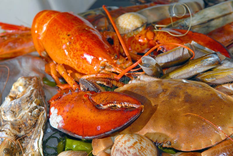 Fresh seafood stock photo. Image of products, seafood - 7168868