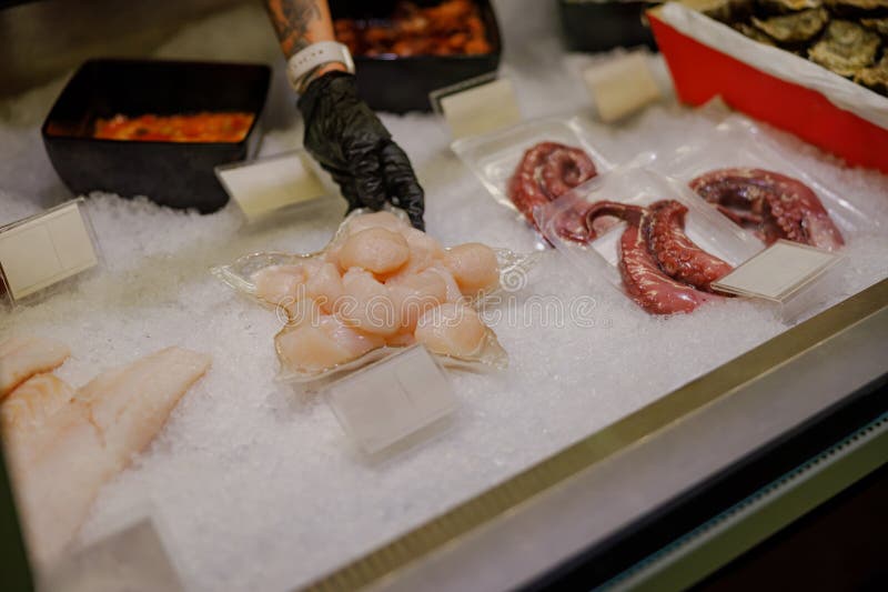 A Fresh Seafood Assortment Artfully Arranged on an Ice Display for ...