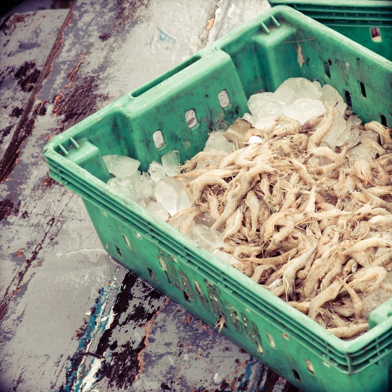 Fresh Seafood in Boxes at the Fish Market Stock Image - Image of ...