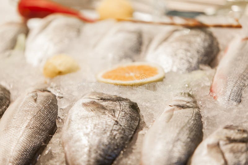 Fresh seafood stock photo. Image of diner, cooling, frozen - 45053990