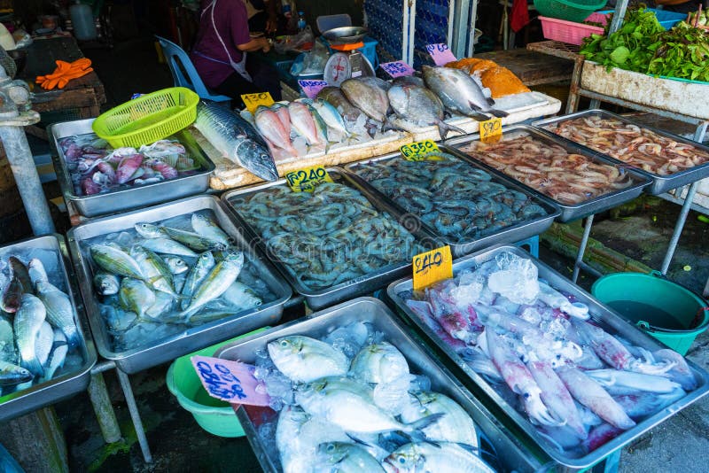 Fresh Seafood on the Counter at the Fish Market by the Ocean Stock ...