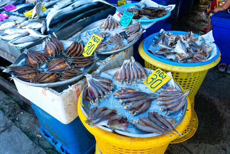 Fresh Seafood on the Counter at the Fish Market by the Ocean Stock ...