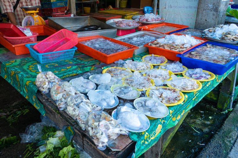 Fresh Seafood on the Counter at the Fish Market by the Ocean Stock ...