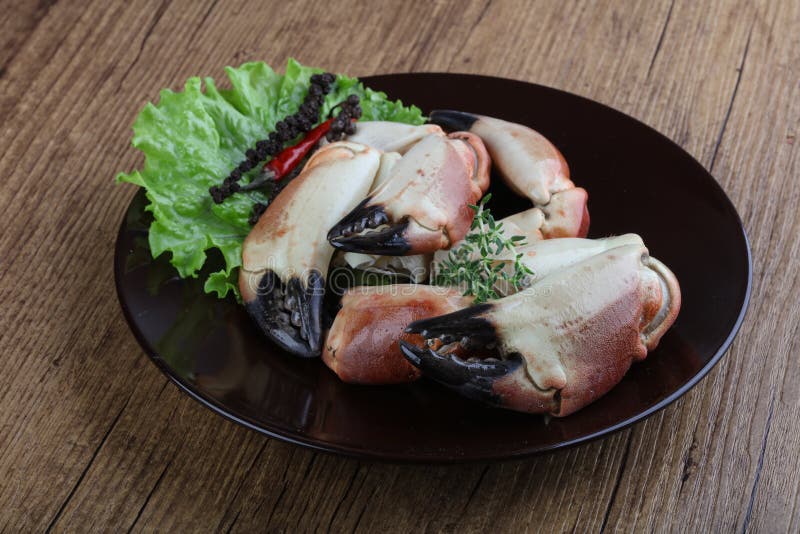 Crab claws stock photo. Image of shellfish, animal, crustacean - 111741414