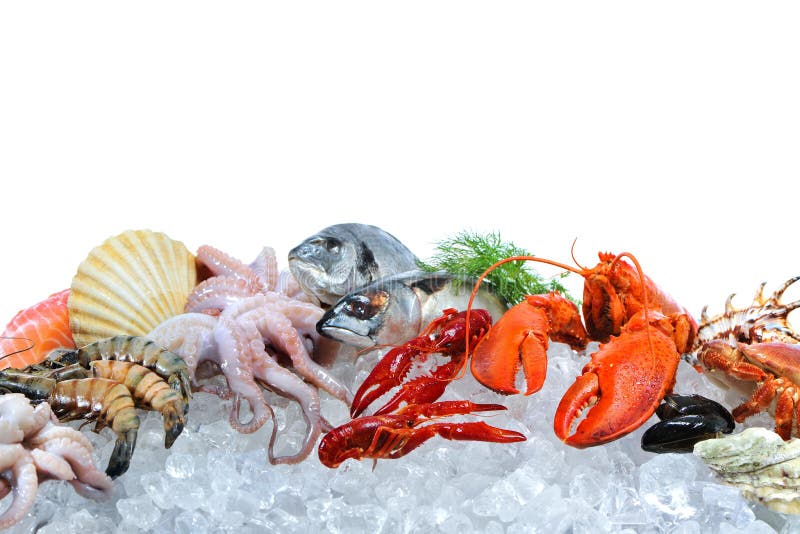 Fresh Seafood on Crushed Ice Stock Photo - Image of head, catch: 87884446