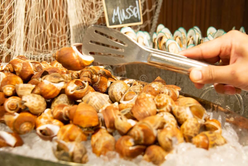 Fresh Seafood on Ice in Buffet Line Stock Photo - Image of choice, head ...