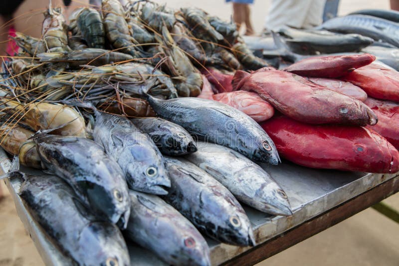 Fresh seafood stock image. Image of crabs, ocean, fish - 40321771