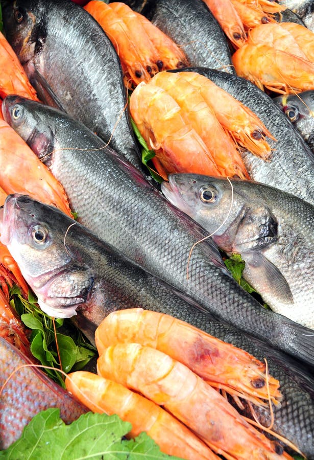 Fresh seafood stock image. Image of omega3, crete, mussels - 20955061