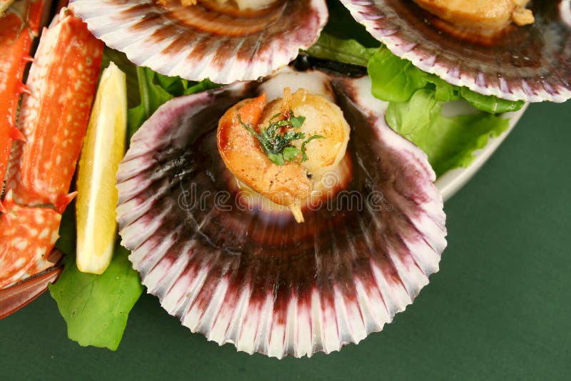 Sea Scallop stock image. Image of delicious, platter - 29927233