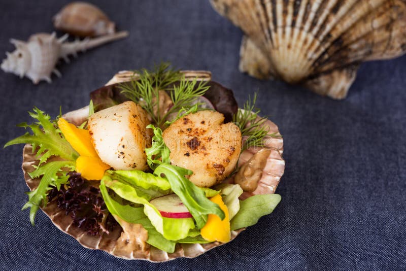 Fresh Seared Sea Scallops Salad with Mango, Radish, Avocado on S Stock ...