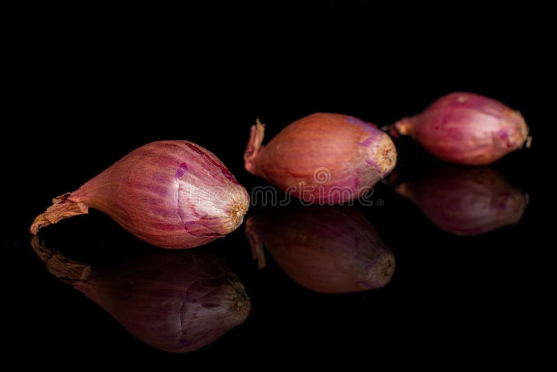 Fresh Shallot on Black Glass Stock Photo - Image of kitchen, herb ...