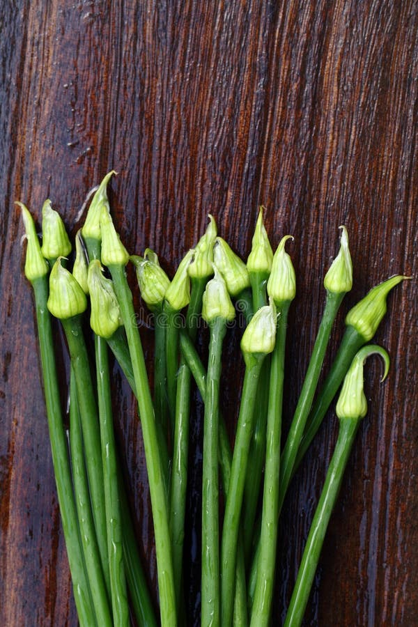 Fresh shallot flowers stock image. Image of petal, bunch - 37876453