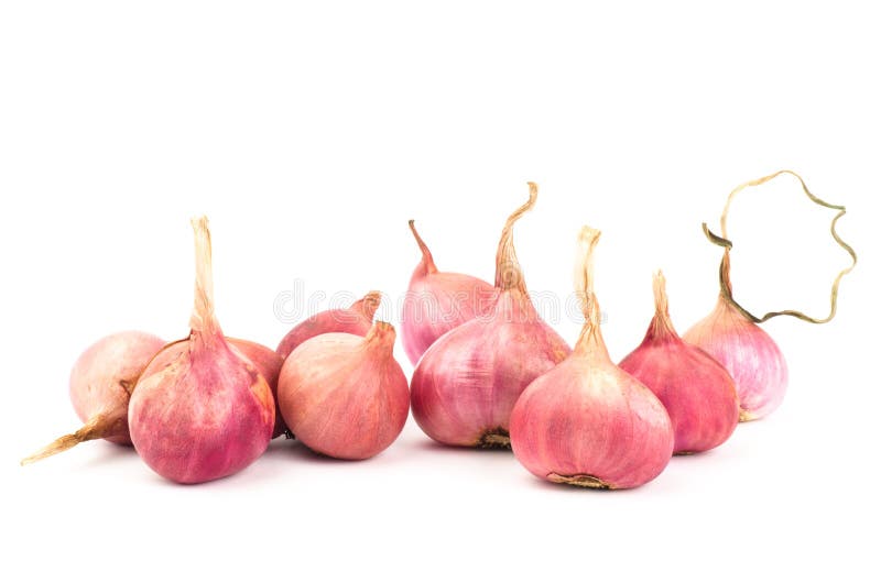Fresh Shallot stock photo. Image of vegetarian, healthy - 24128610