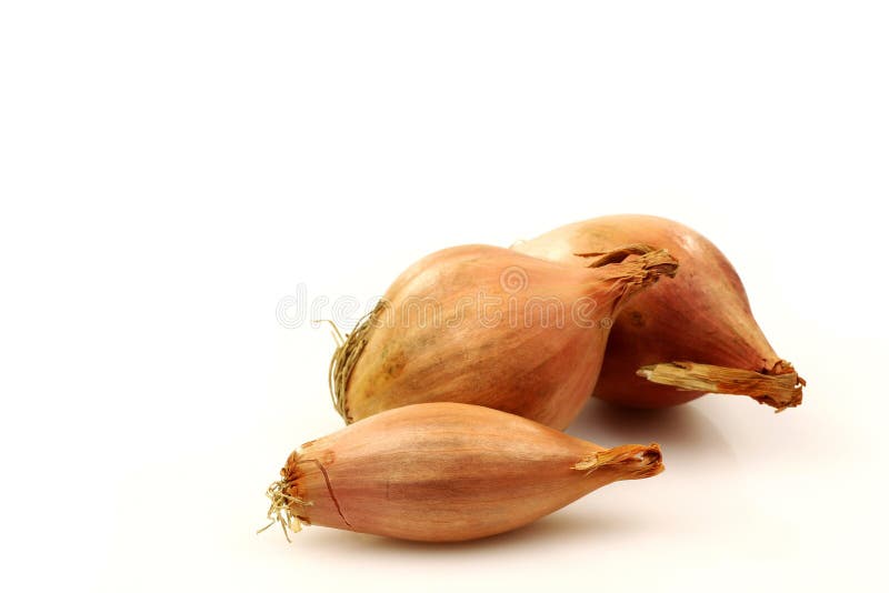 Shallots stock photo. Image of cook, onions, shallots - 22606346
