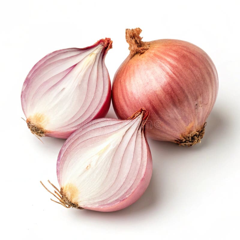 Shallots Isolated on White Background Stock Illustration - Illustration ...