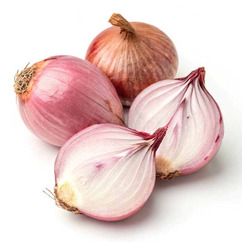 Shallots Isolated on White Background Stock Illustration - Illustration ...