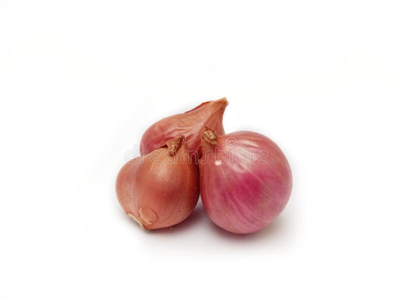Fresh Shallots on Isolated White Background, Three Knobs of Unpeeled ...