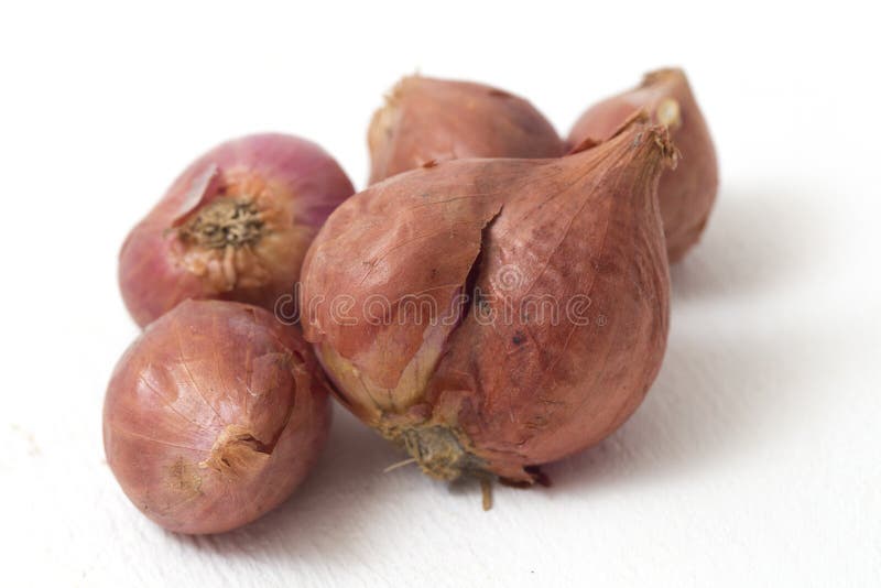 Fresh Shallots Isolated on White Stock Image - Image of nutrition ...