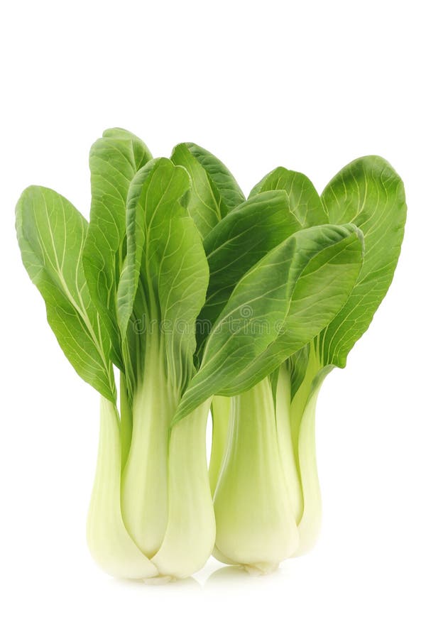 Fresh Shanghai Small Paksoi Stock Image - Image of agriculture, chinese ...