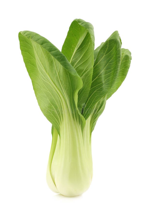 Fresh Shanghai Small Paksoi Stock Image - Image of green, healthy: 81608273