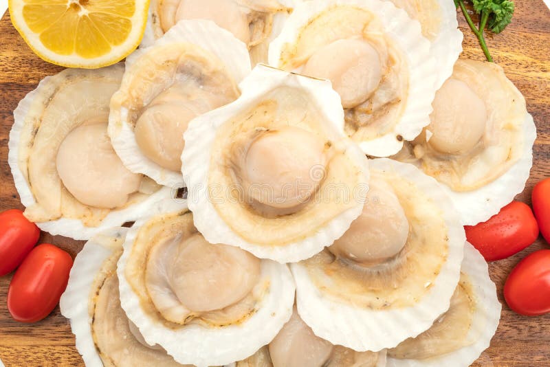 Fresh shell scallop stock image. Image of shell, scallops - 138537825