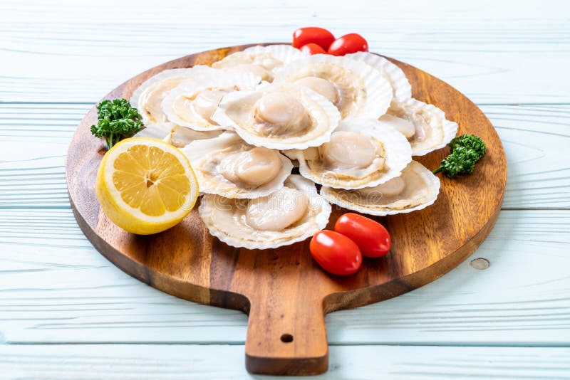 Fresh shell scallop stock photo. Image of white, seafood - 138542498