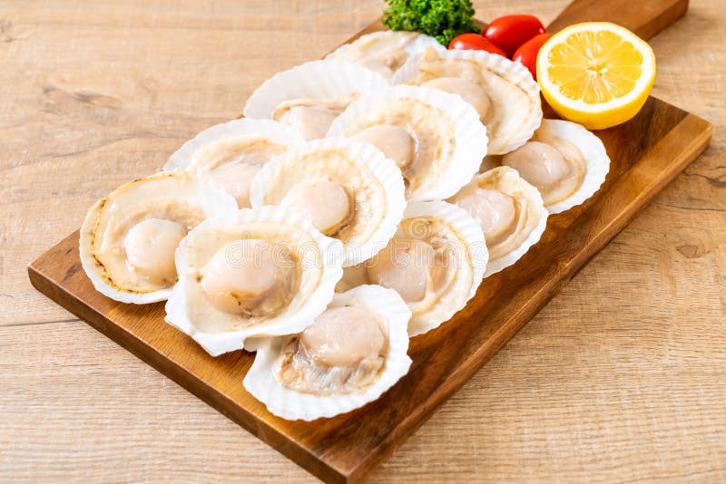 Fresh shell scallop stock photo. Image of healthy, meal - 138542568