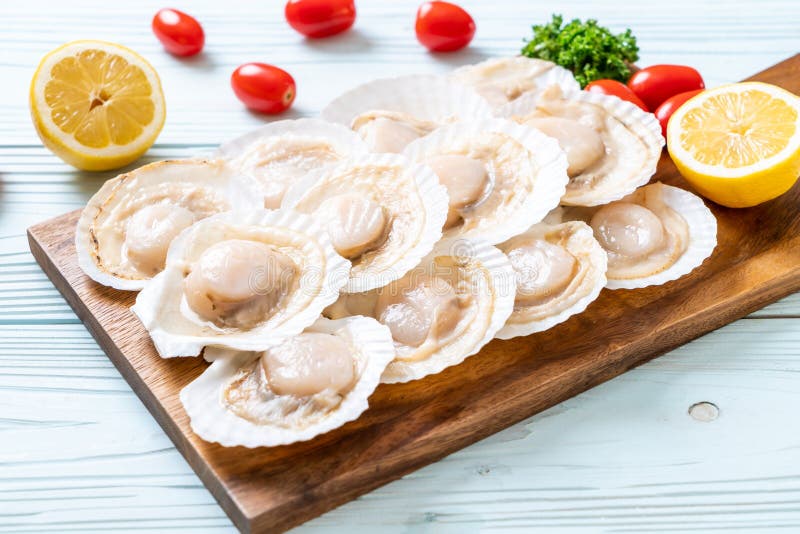 Fresh shell scallop stock photo. Image of healthy, seafood - 144024620