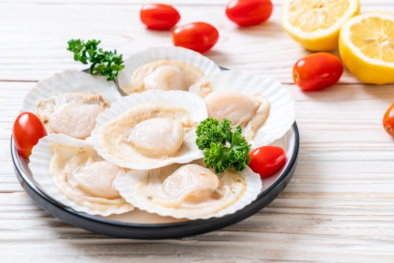 Fresh shell scallop stock photo. Image of fresh, closeup - 152400182