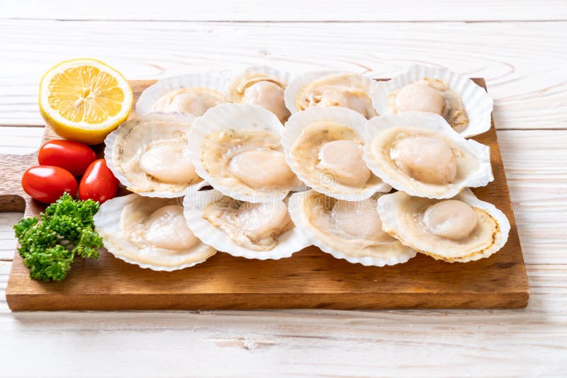 Fresh shell scallop stock photo. Image of food, fish - 154069830