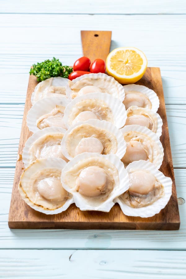 Fresh shell scallop stock image. Image of mollusk, meal - 156314597