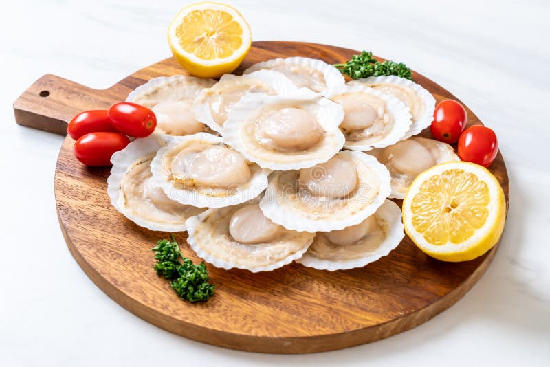 Fresh shell scallop stock photo. Image of mediterranean - 152104126