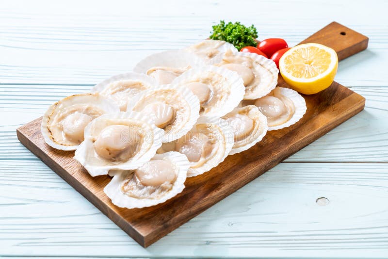 Fresh shell scallop stock image. Image of seafood, shellfish - 154140933