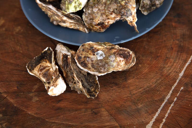 Fresh Shelled Oysters on a Plate Stock Photo - Image of hard, shell ...