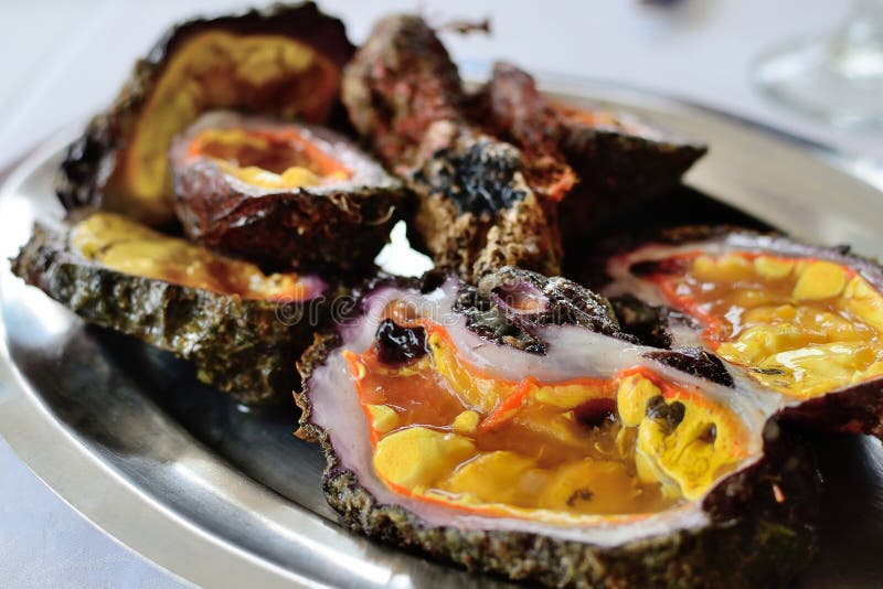 Fresh Shellfish from the Greek Seas. Stock Photo - Image of fish, greek ...