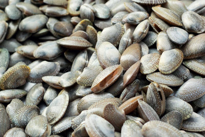 Fresh Shellfish in the Market Stock Image - Image of sauce, market ...