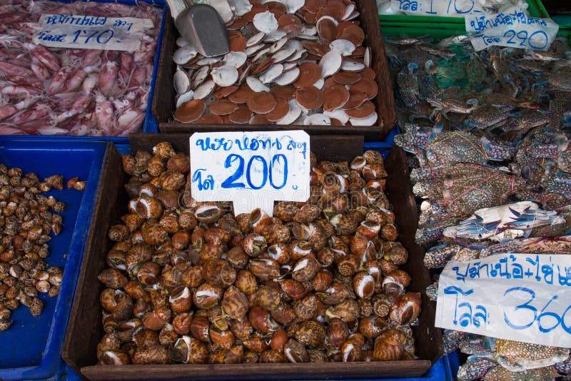 Fresh Shellfish at the Market. Stock Image - Image of freshness, fresh ...
