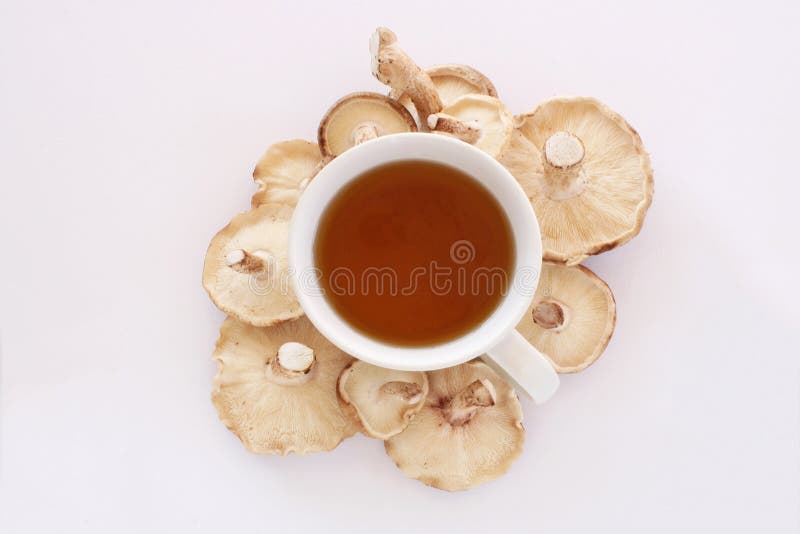 Mushroom tea stock photo. Image of white, drink, antioxidant - 204848040