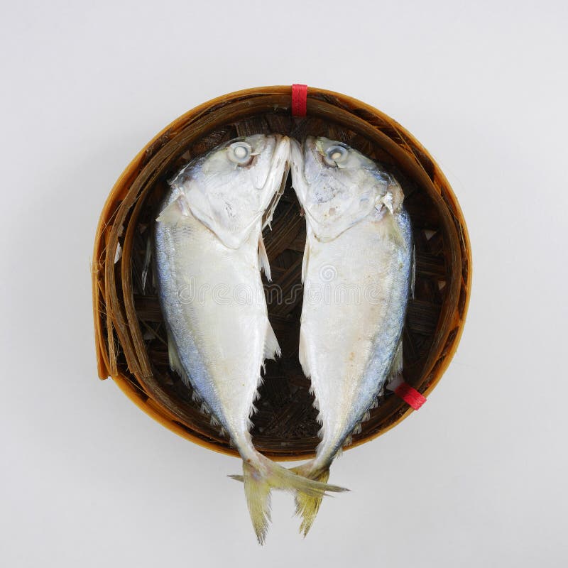 The Fresh Short Mackerel Fish (1) Stock Photo - Image of mackerel ...