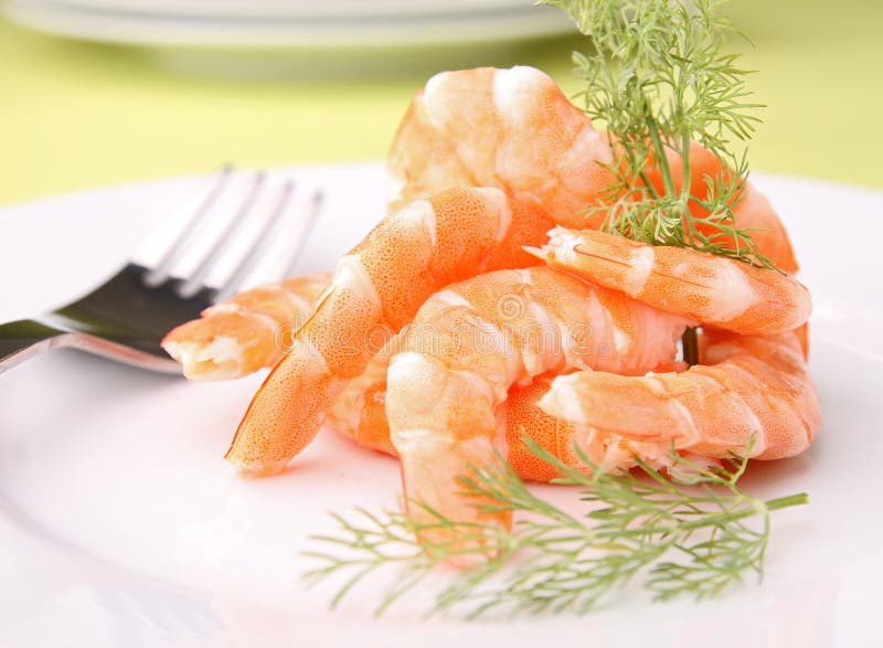 Fresh shrimp stock photo. Image of dill, shrimp, fresh - 21956312