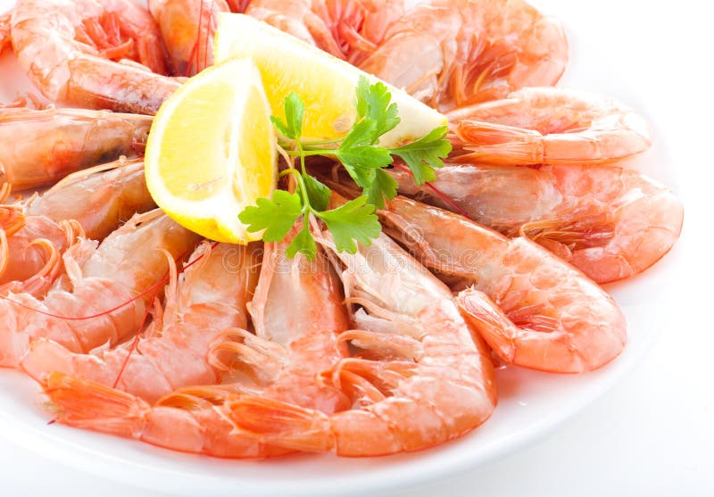 Fresh shrimp stock photo. Image of shellfish, fish, shrimp - 24204912