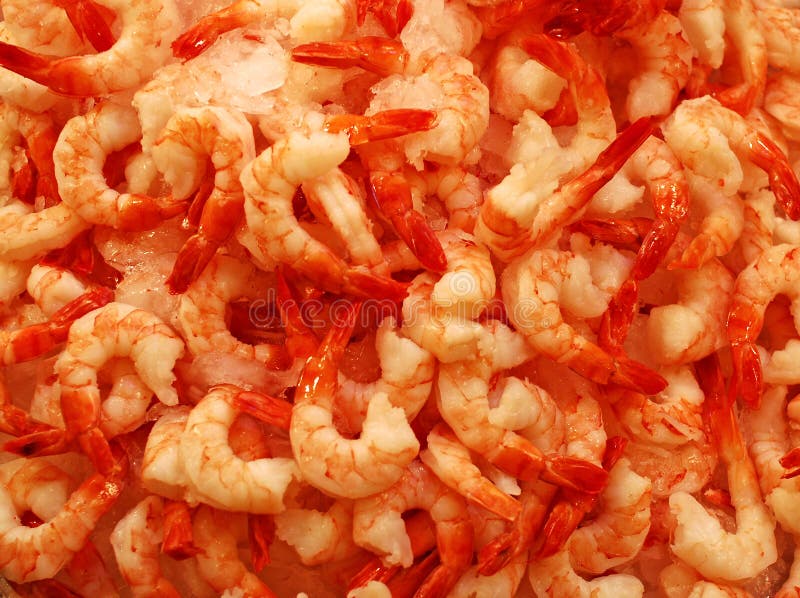 Fresh Shrimp Ceviche Nicaragua Central America Stock Image - Image of ...
