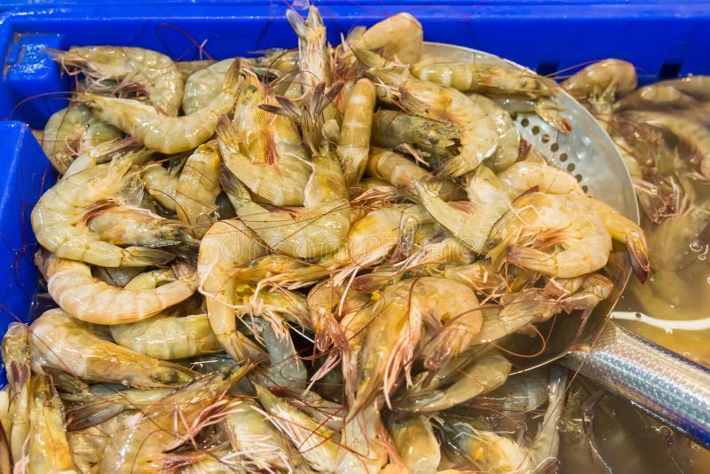 Fresh Shrimp Counter for Sale, Fish Market Stock Image - Image of ...