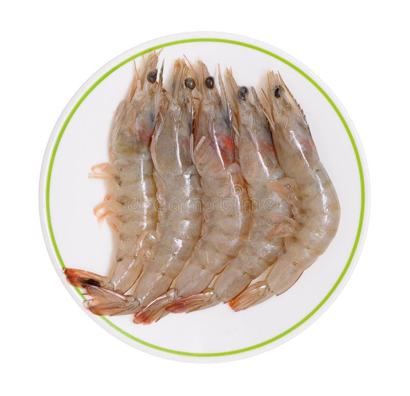 Fresh shrimp stock image. Image of freshm, food, fresh - 31615609