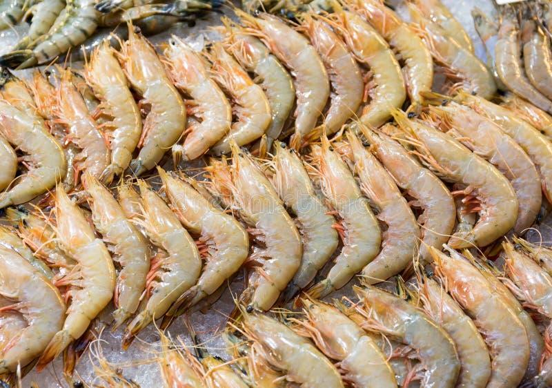 Fresh shrimp stock image. Image of white, stack, organic - 35352111