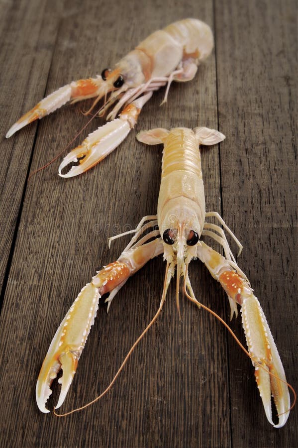 Fresh Shrimp Scampi stock photo. Image of fresh, pink - 2888000