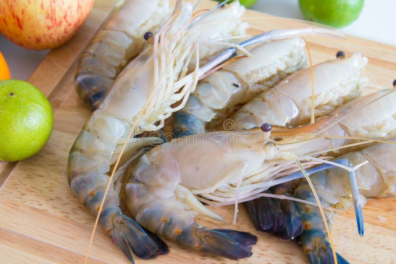 Fresh shrimp shrimp river stock photo. Image of fresh - 100484408